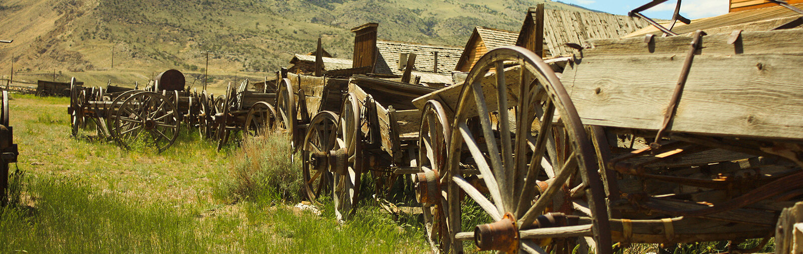 WHEEL Meetings | Collaborative Policy Discussions | VC CoLAB